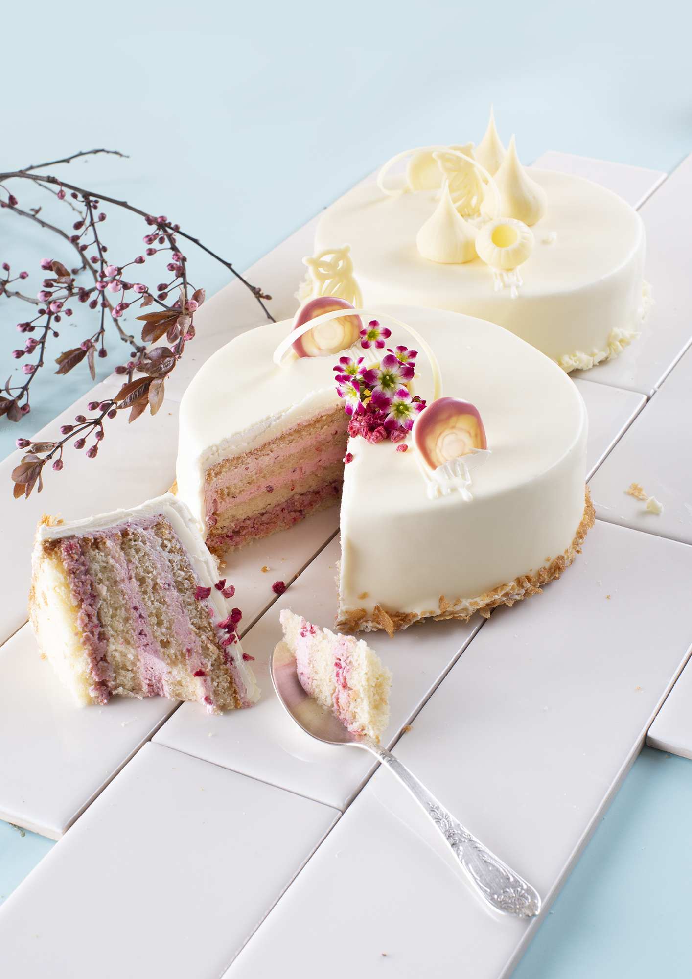 Tort na rozpoczęcie roku szkolnego – jaki rodzaj wybrać? | Cukiernia Sowa